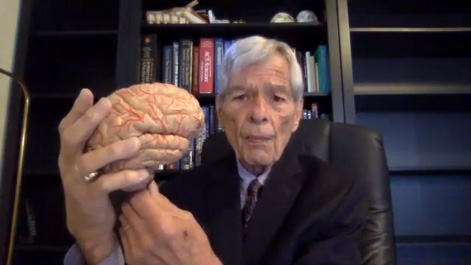 NACLE | What You Need to Know and Do to Try a Chronic Traumatic ...